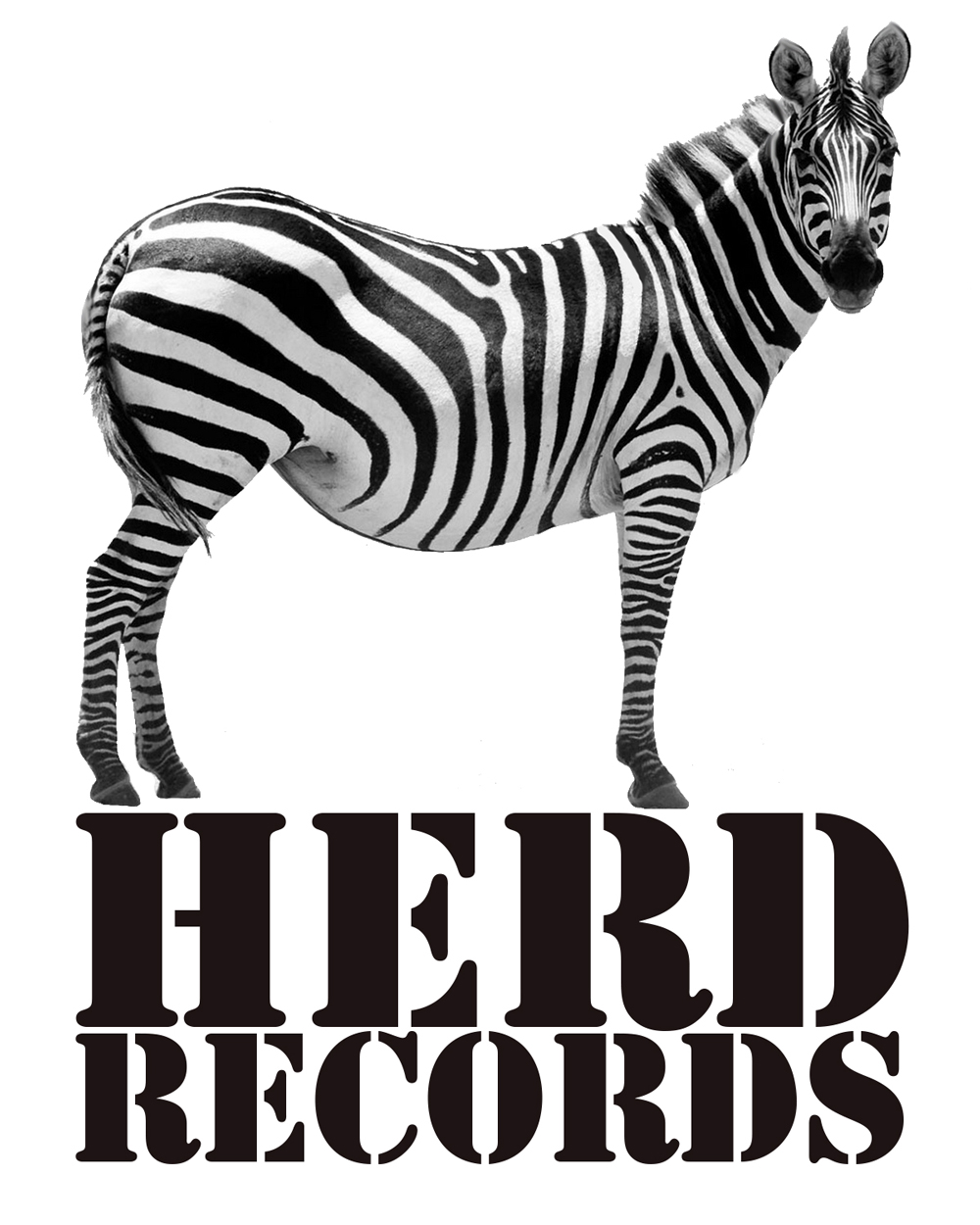 Herd Records – Home of Icicle